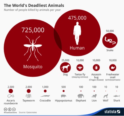 Mosquito Awareness Week